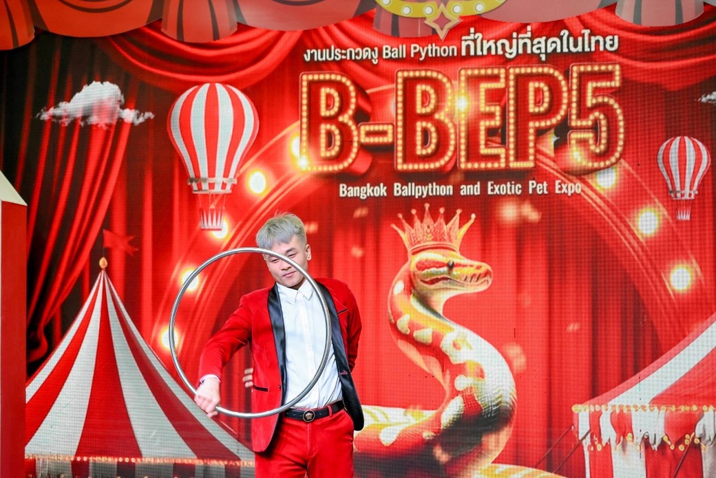 “B-BEP 2025” เปิดม่านสุดยิ่งใหญ่! ไทยเดินเกมรุก ส่งออกงูบอลไพธอนสู่เวทีโลก - Siam108 ทุกข่าวสาร ...